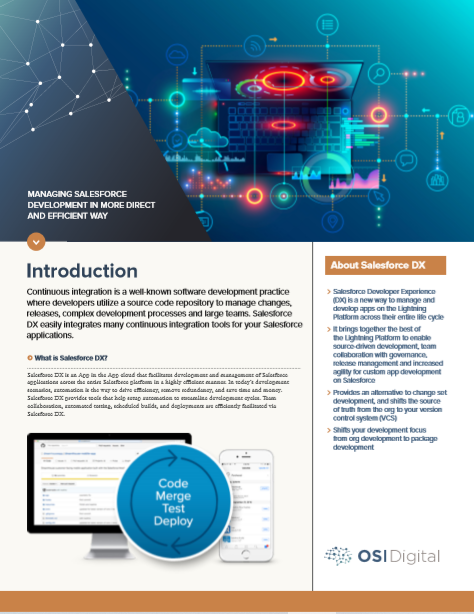 White Paper: Managing Salesforce Development in a more Direct and ...